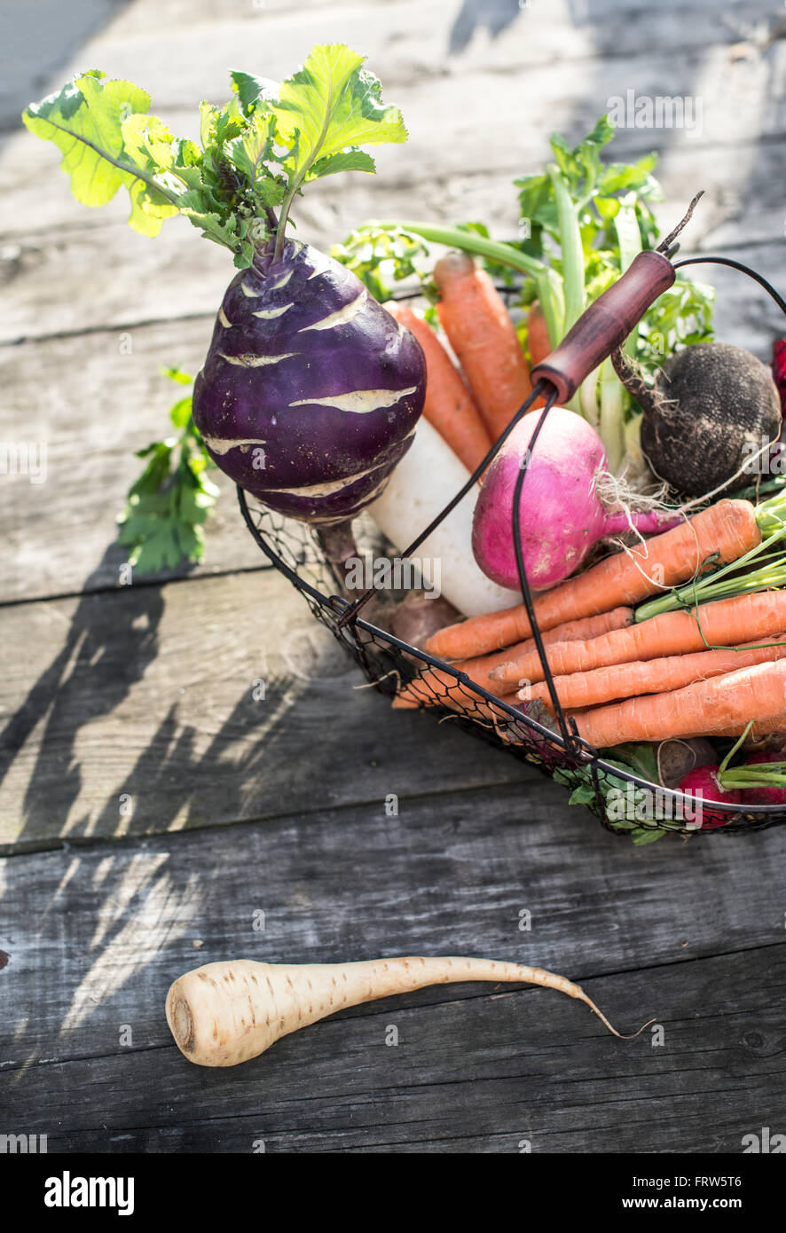 Wire basket with different root vegetables Stock Photo - Alamy