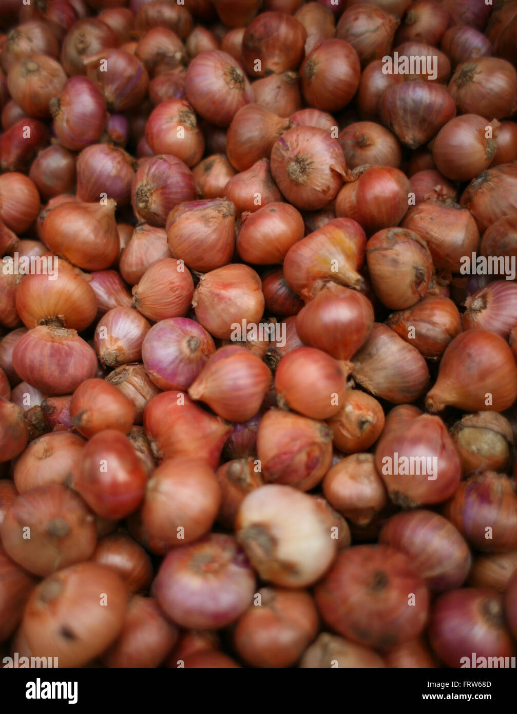 Onion-Pile Of onions / Stack Of onions Stock Photo - Alamy