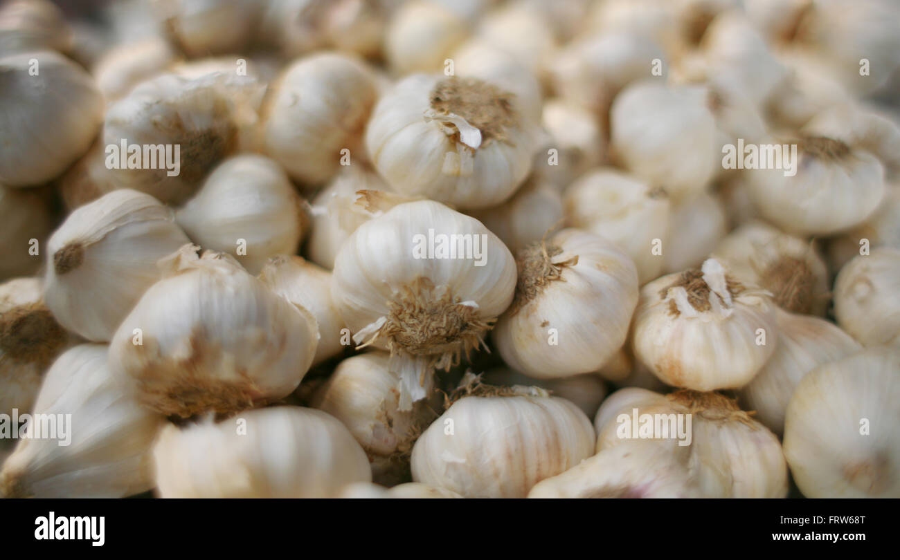 Garlic -Pile Of Garlic / Stack Of Garlic Stock Photo - Alamy