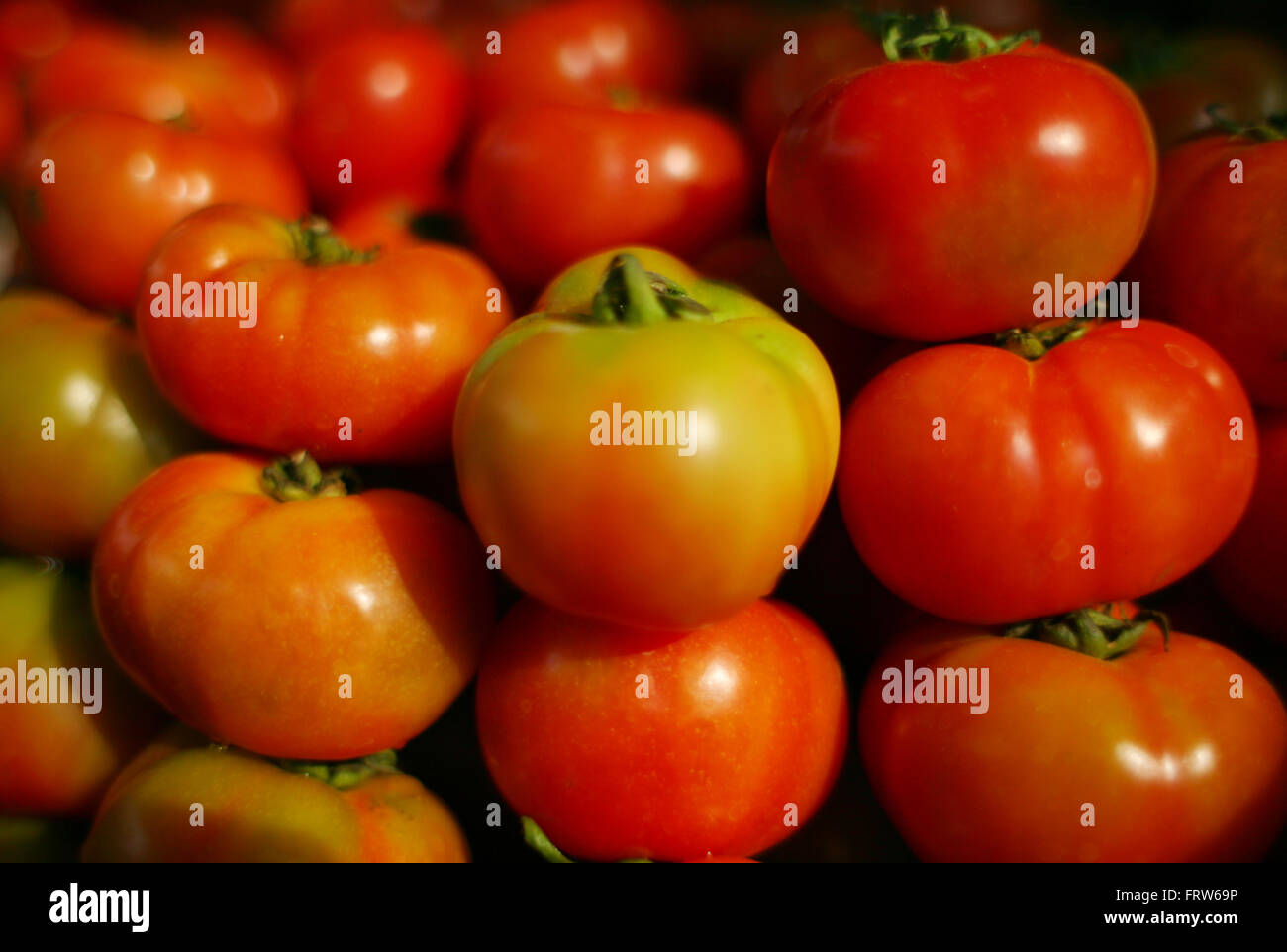 Tomato-Pile Of Tomato / Stack Of Tomato.Group of tomatoes Stock Photo ...
