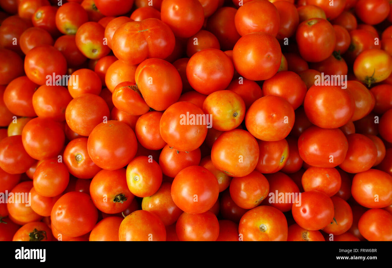 Tomato-Pile Of Tomato / Stack Of Tomato Stock Photo - Alamy