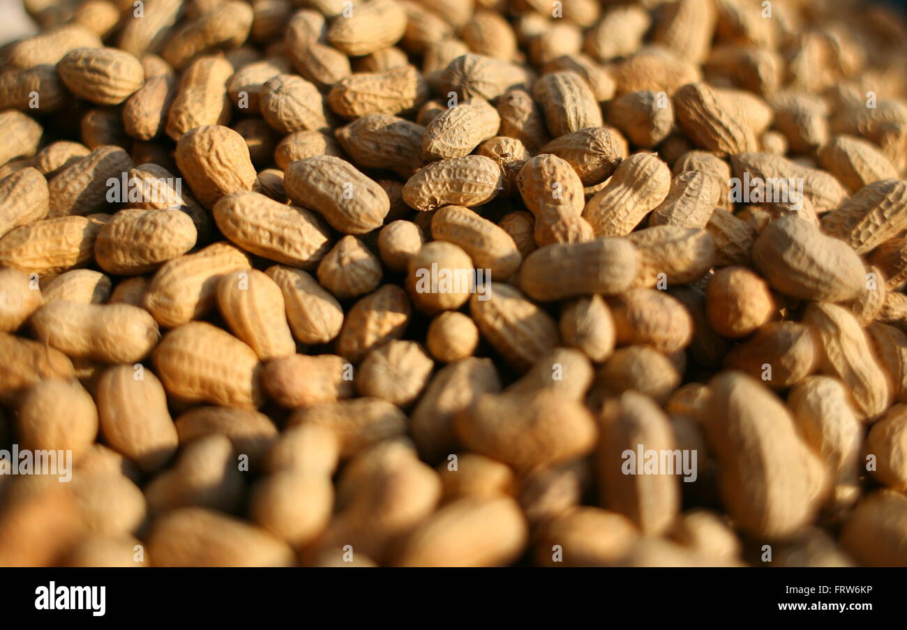 Peanuts - Pile Of Peanuts/ Stack Of Peanuts Stock Photo - Alamy
