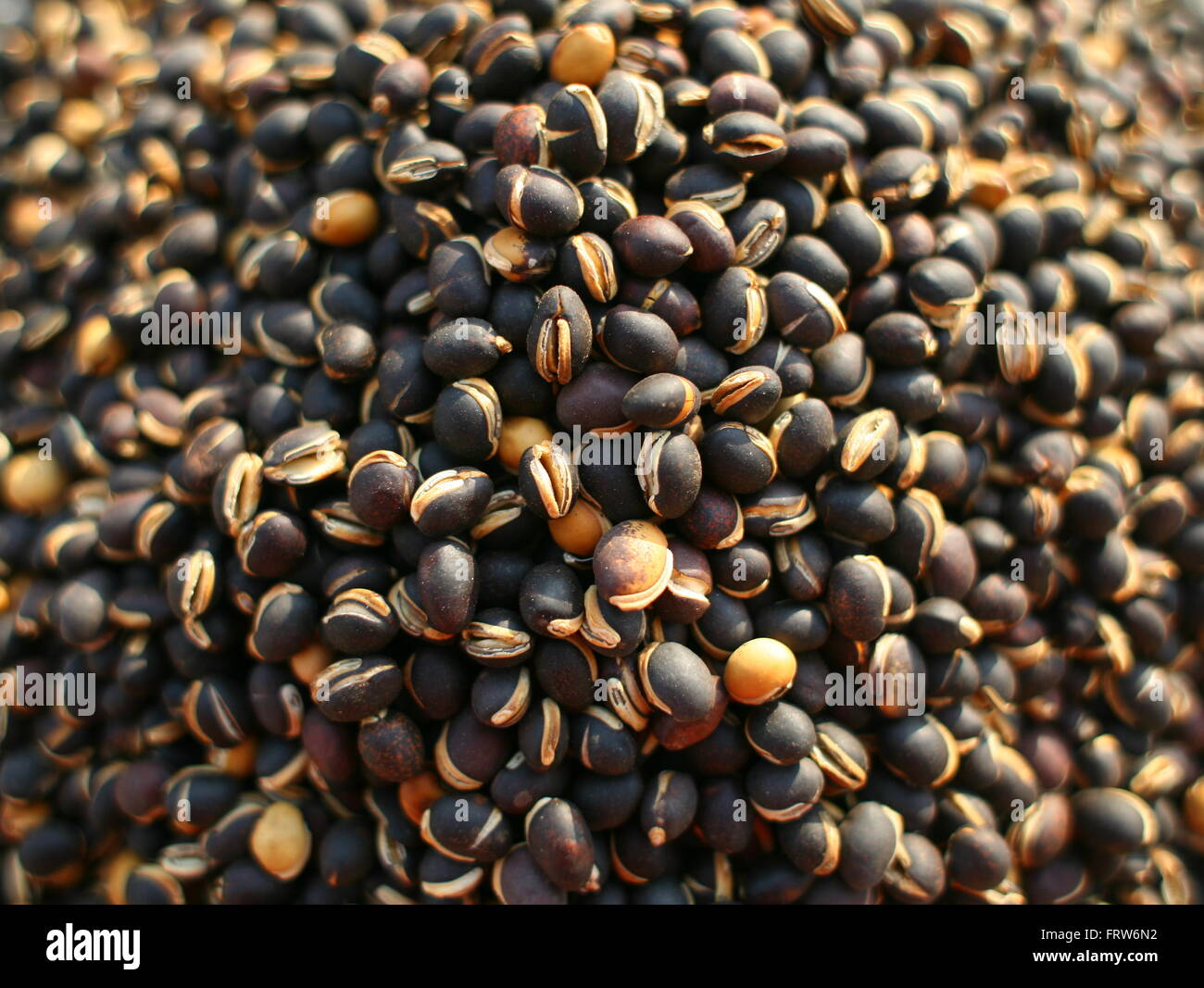 Dried beans close-up for background and texture Stock Photo - Alamy