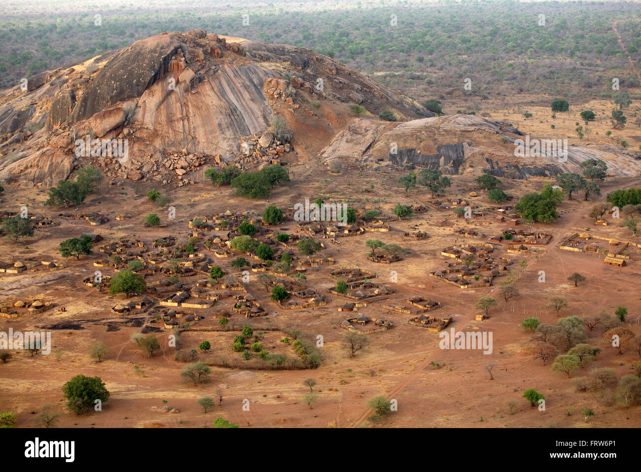 Ibir hi-res stock photography and images - Alamy