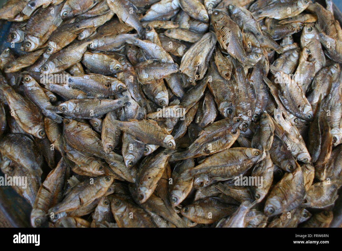 stock of Dried Fish for background and texture Stock Photo - Alamy