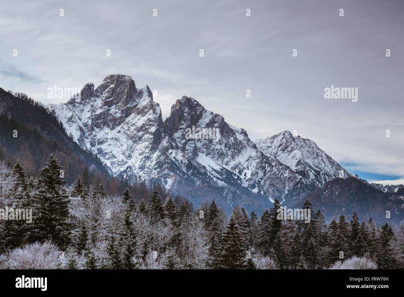 Admonter Reichenstein, Mountain, Nationalpark Gesäuse, Styria, Austria ...