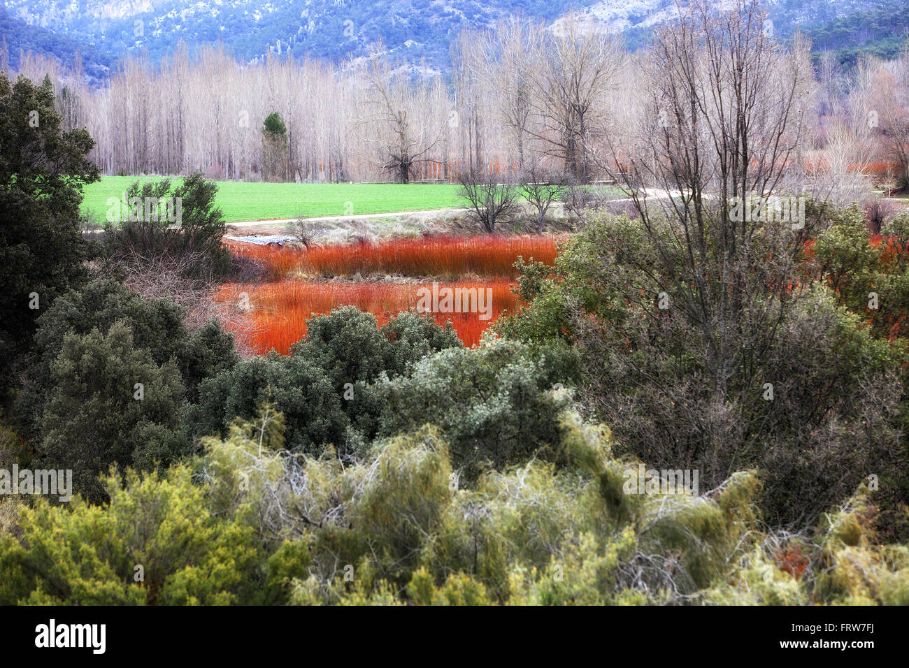 Cultivation field cuenca province hi-res stock photography and images ...