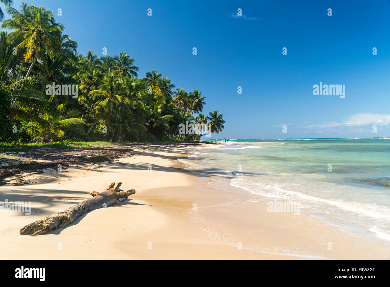 Dominican Republic, Peninsula Samana, Las Terrenas, Beach of El ...