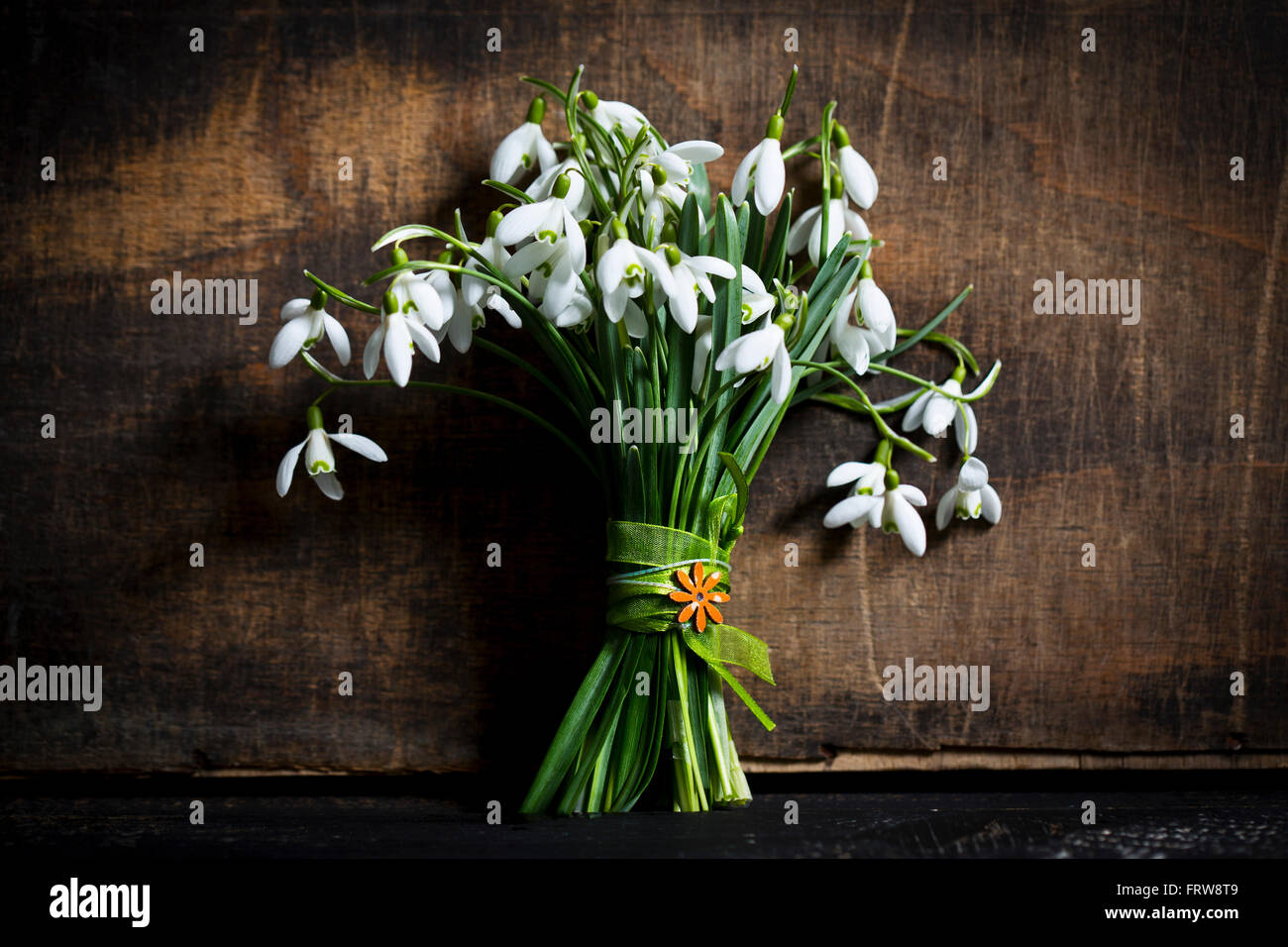 Bunch of snowdrops in front of dark wood Stock Photo - Alamy
