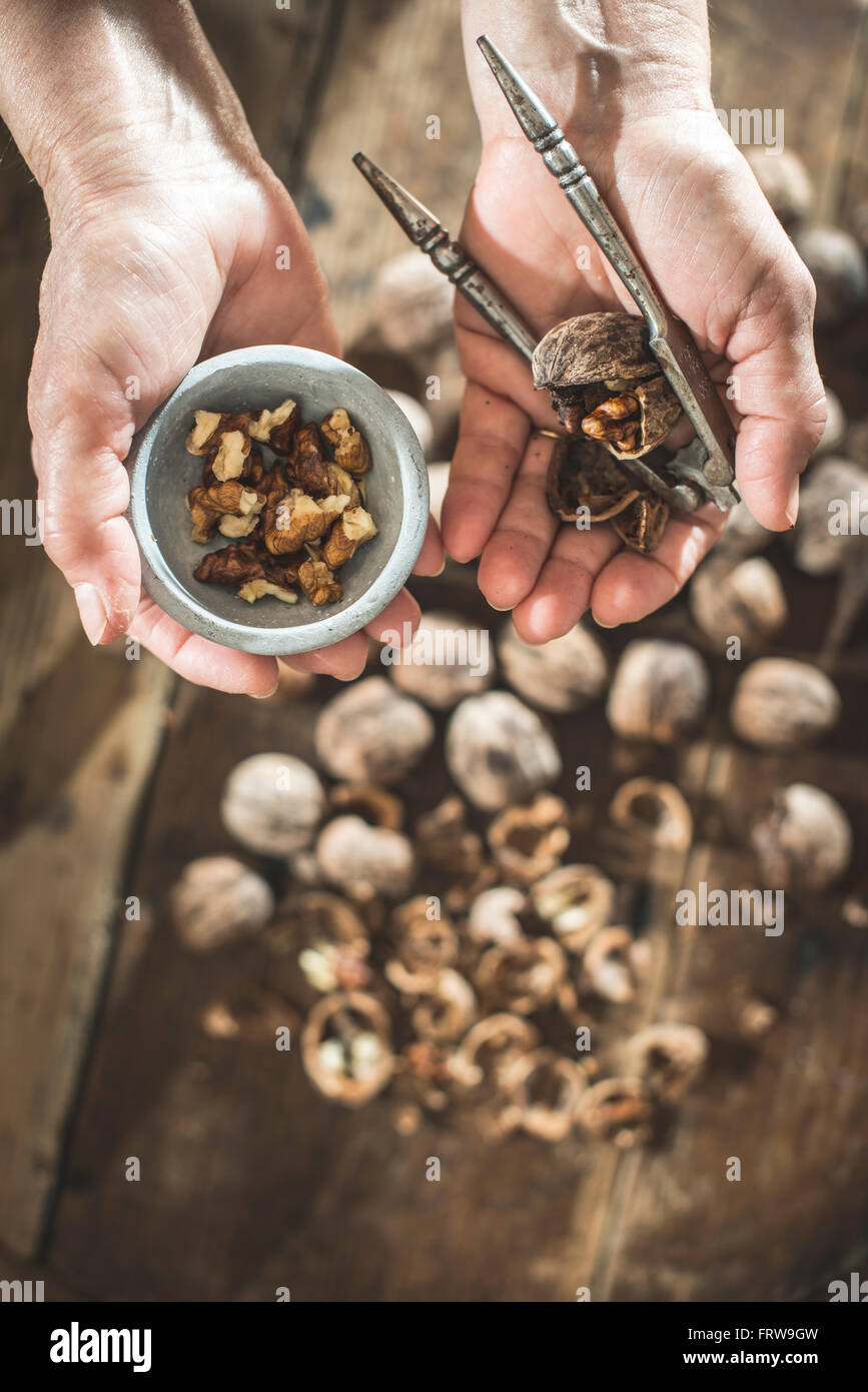 Woman's hands holding cracked walnuts and nutcracker Stock Photo - Alamy