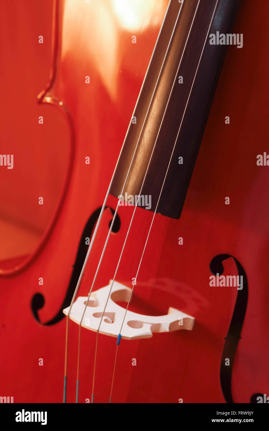 Cello, detail, close-up Stock Photo - Alamy