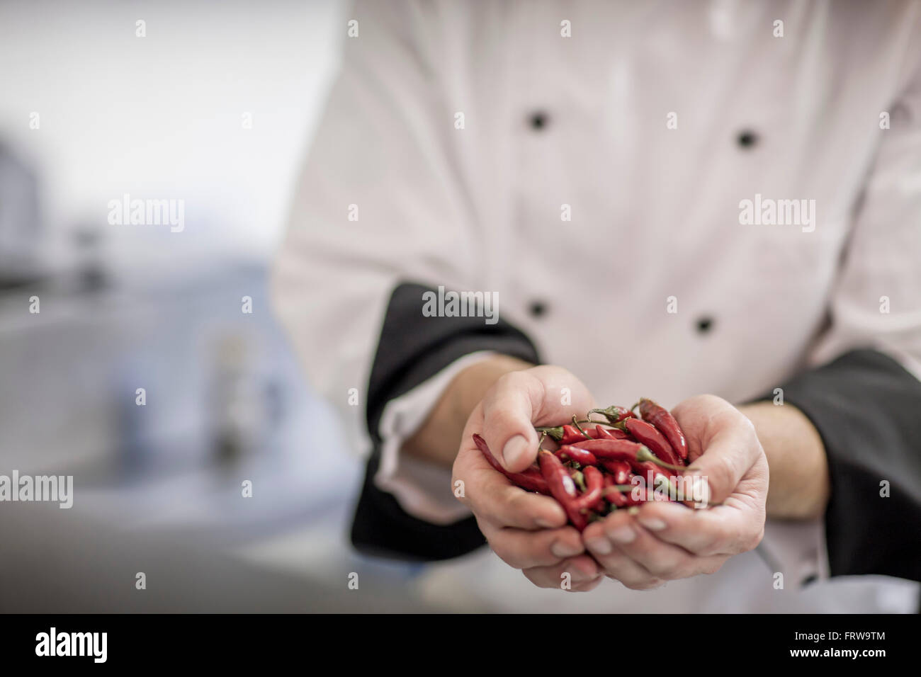 Restaurant chef holding red chili peppers Stock Photo - Alamy