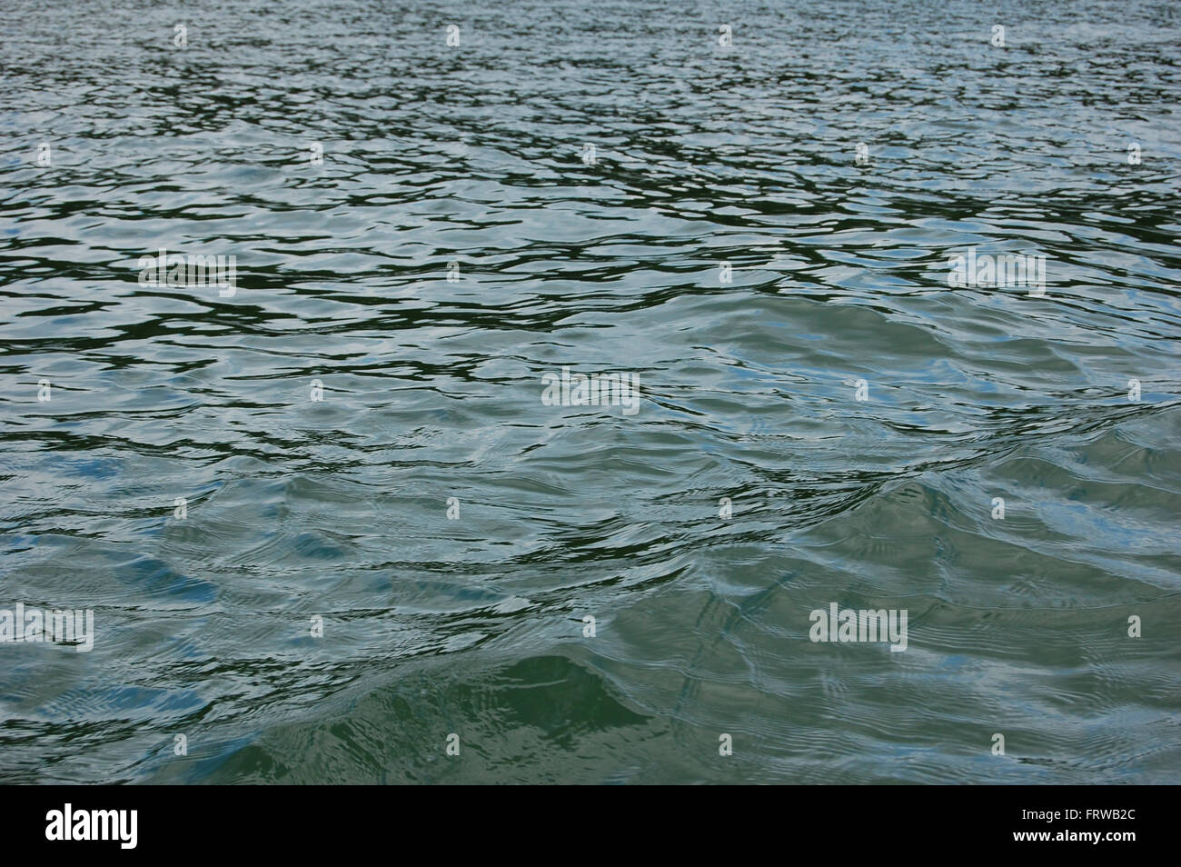 Water moist hi-res stock photography and images - Alamy