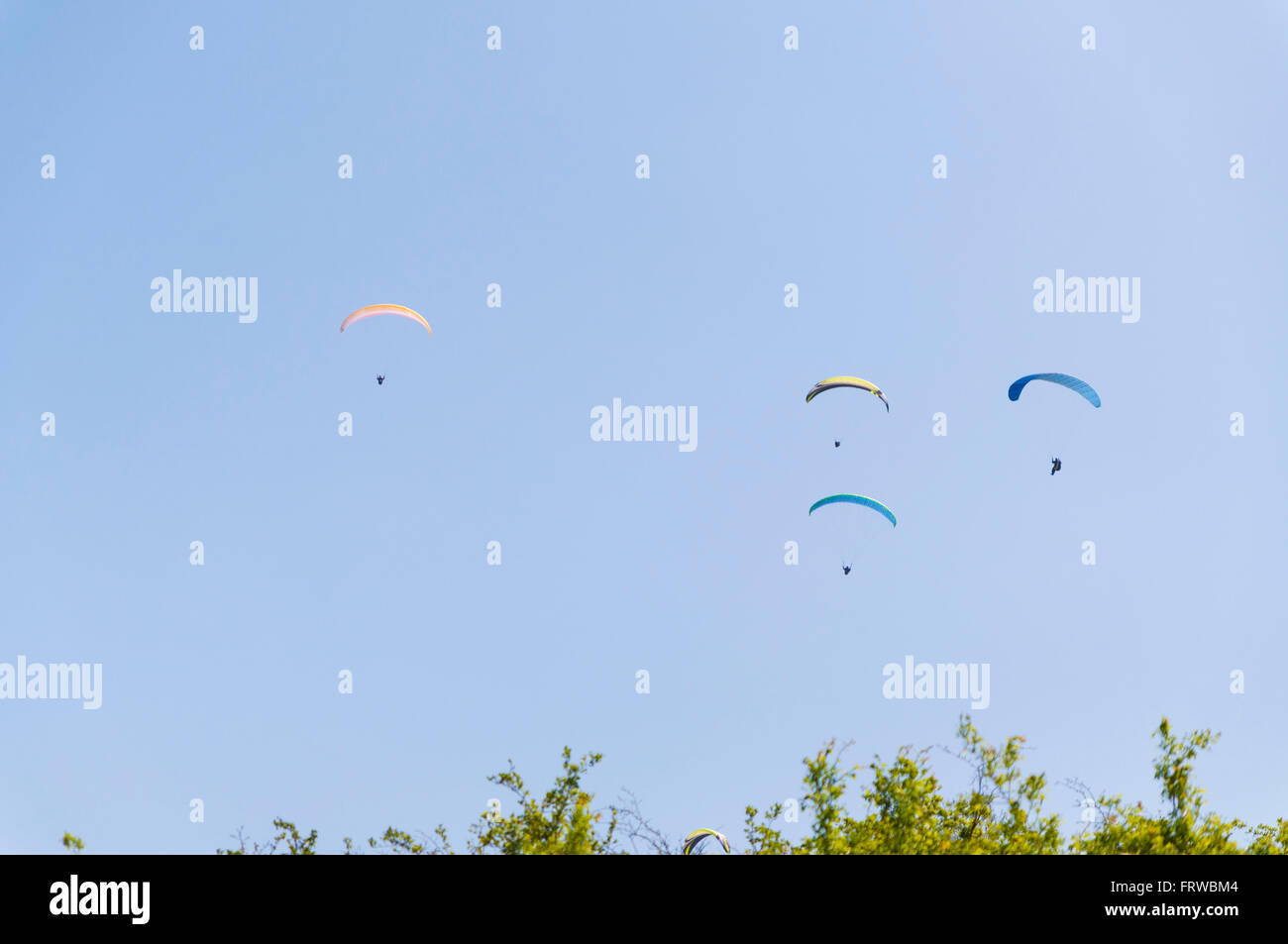 Sky parachutes hi-res stock photography and images - Alamy