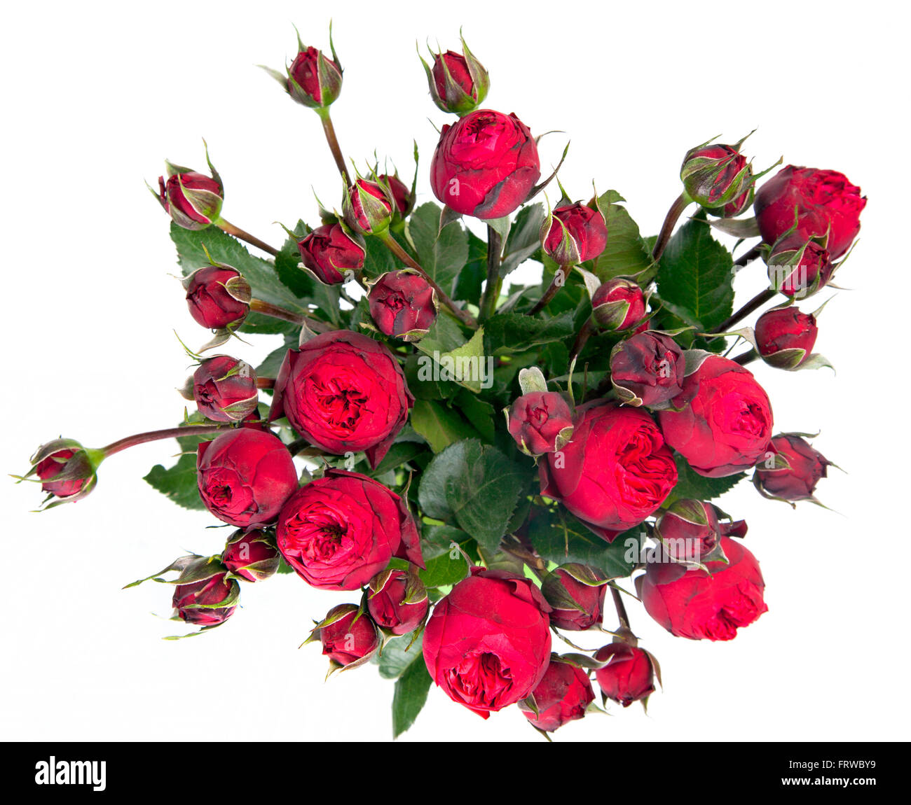 Rosy bouquet hi-res stock photography and images - Alamy