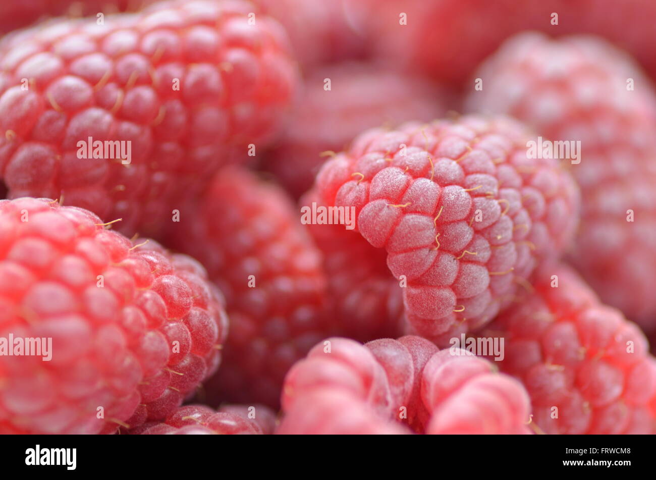 closeup of ripe, fresh and sweet raspberries Stock Photo - Alamy