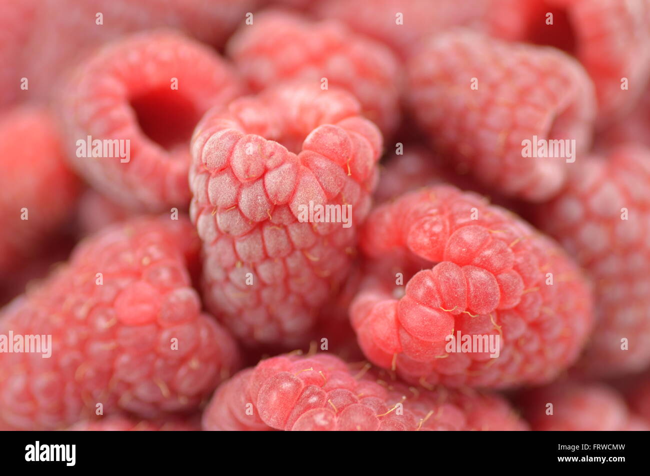 closeup of ripe, fresh and sweet raspberries Stock Photo - Alamy