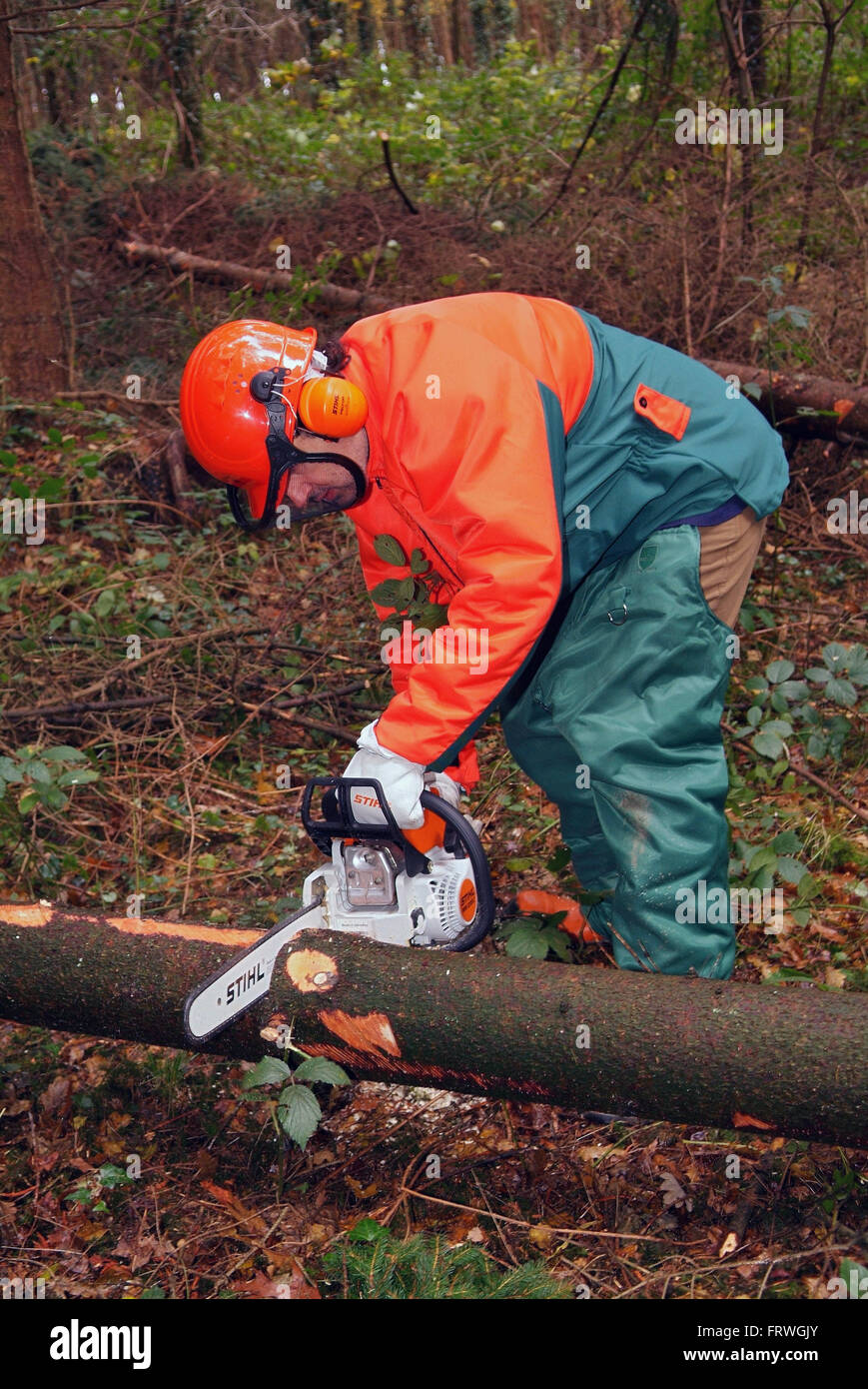 Chainsaw maintenance cross cutting course hi-res stock photography and ...