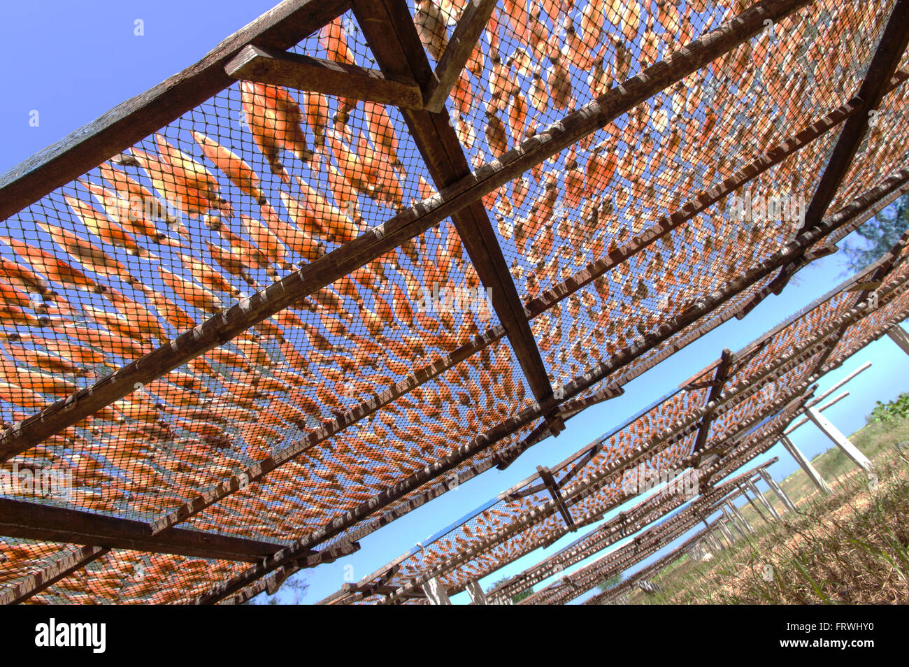 Solar drying hi-res stock photography and images - Alamy