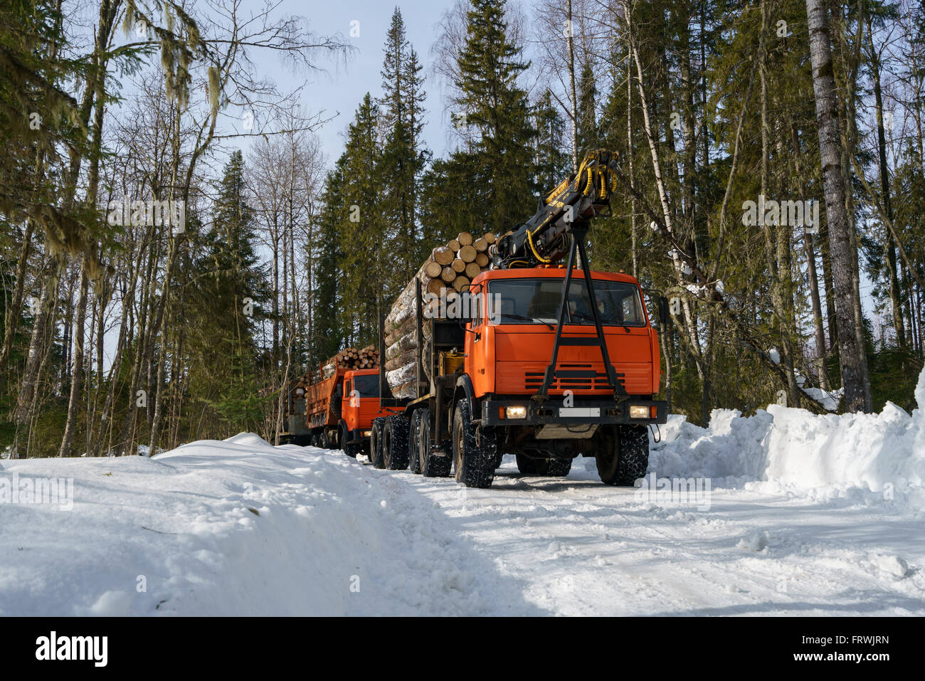 Forestry. Trucks loaded with timber in winter time Stock Photo - Alamy