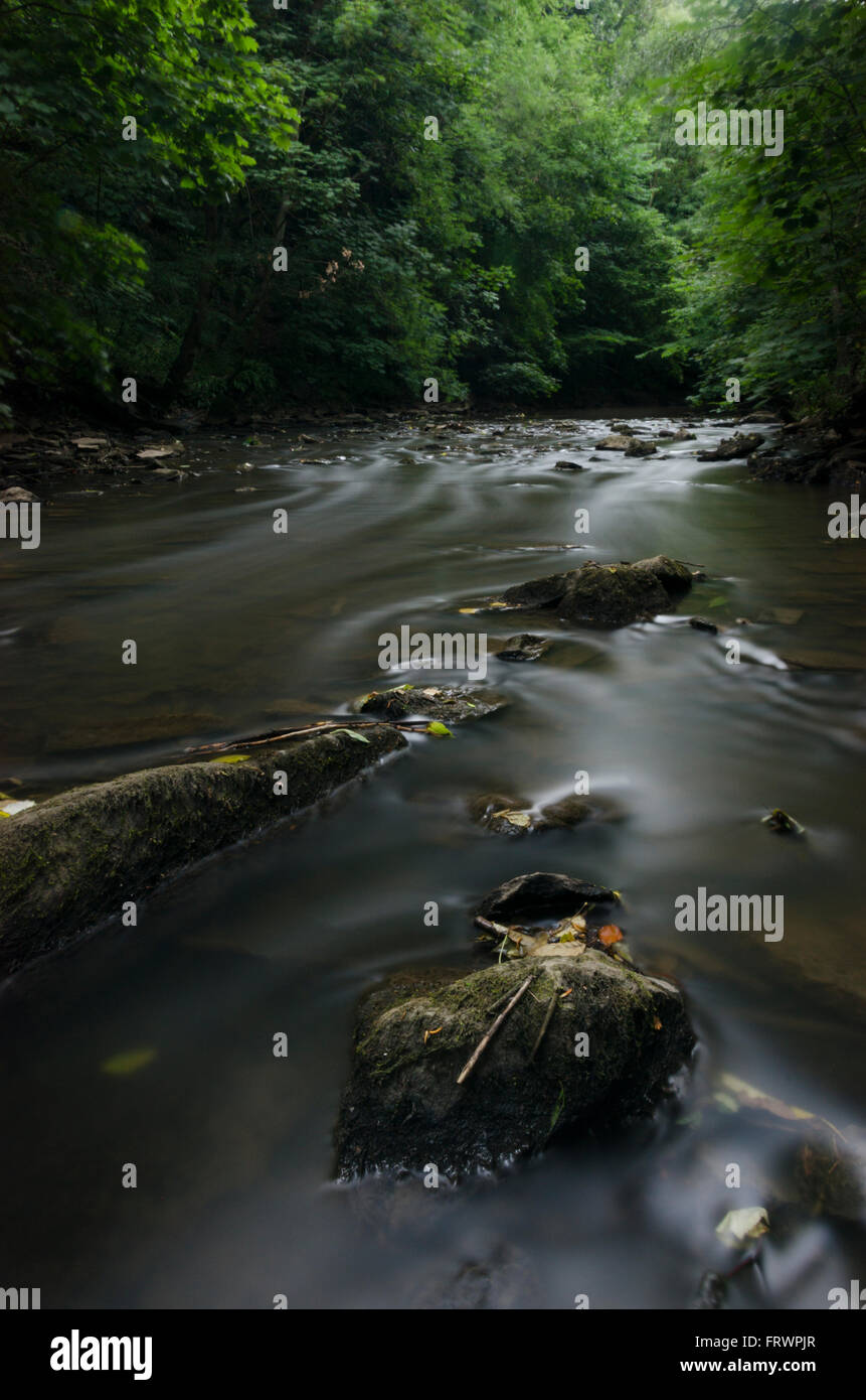 Flowing river through trees and around rocks Stock Photo - Alamy