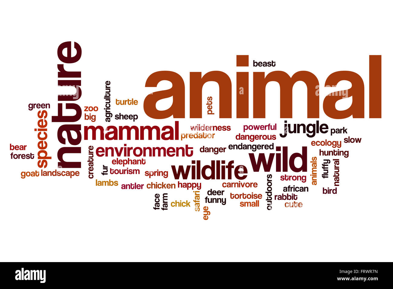 Animal outdoors Cut Out Stock Images & Pictures - Alamy