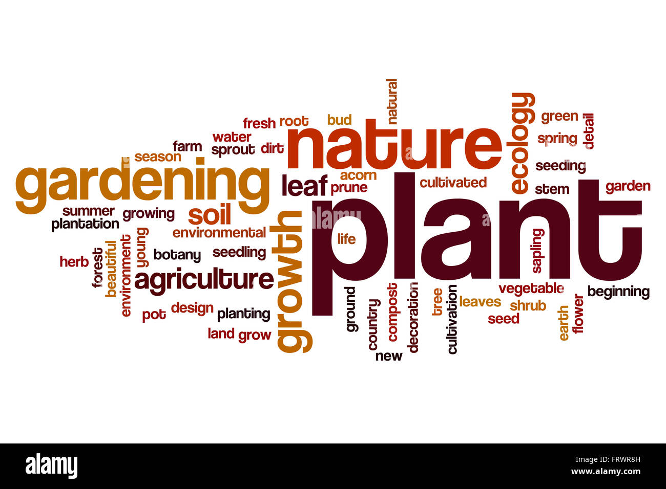 Root word hi-res stock photography and images - Alamy