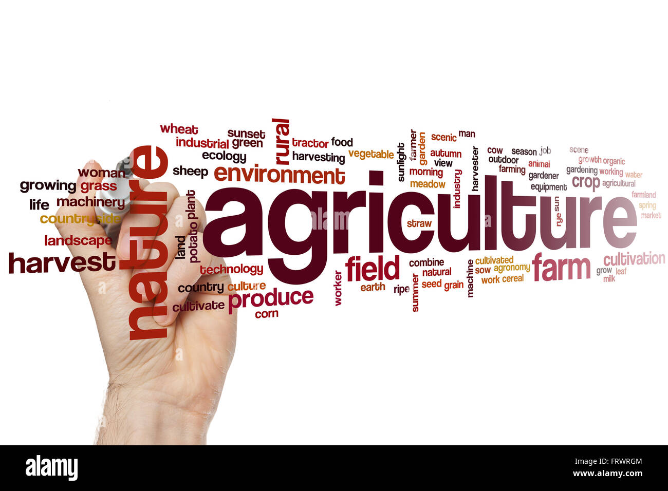 Agriculture word cloud concept Stock Photo - Alamy