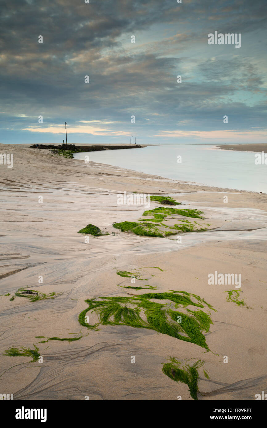 Hayle Estuary; Cornwall; UK Stock Photo - Alamy
