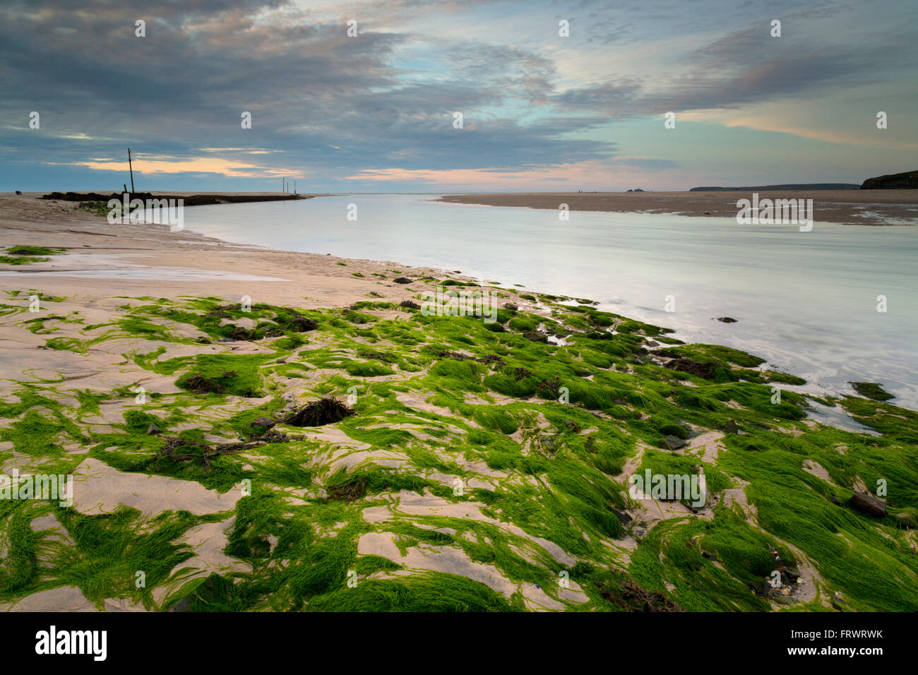 Hayle Estuary; Cornwall; UK Stock Photo - Alamy