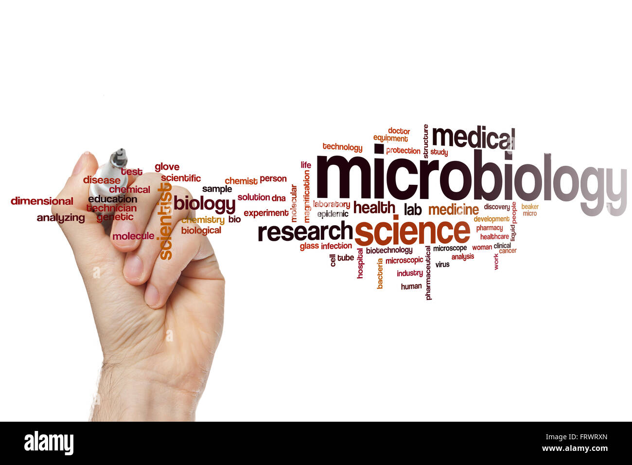 Microbiology word cloud concept Stock Photo - Alamy