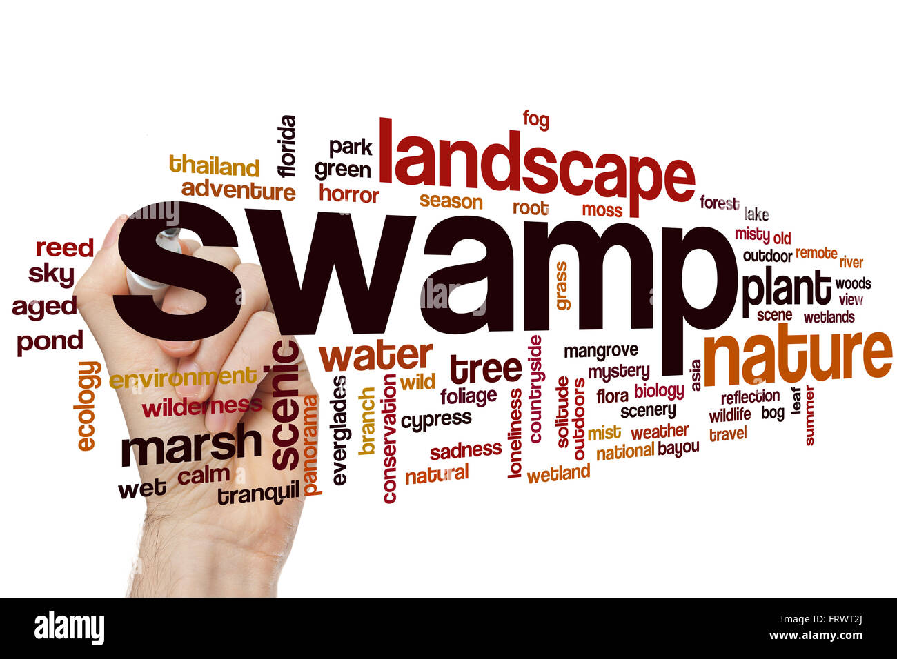 Swamp word cloud concept Stock Photo - Alamy