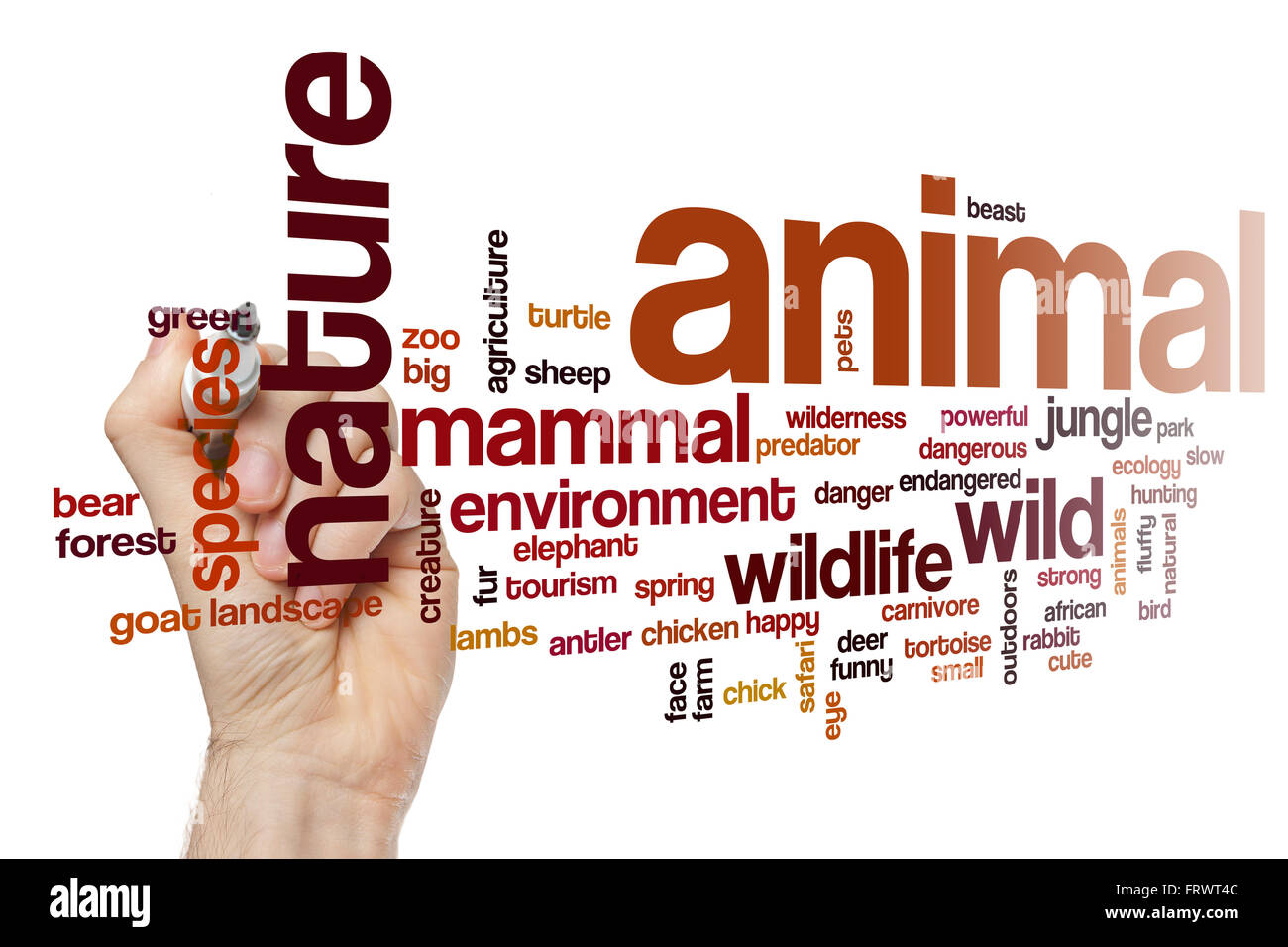 Animal word cloud Stock Photo - Alamy