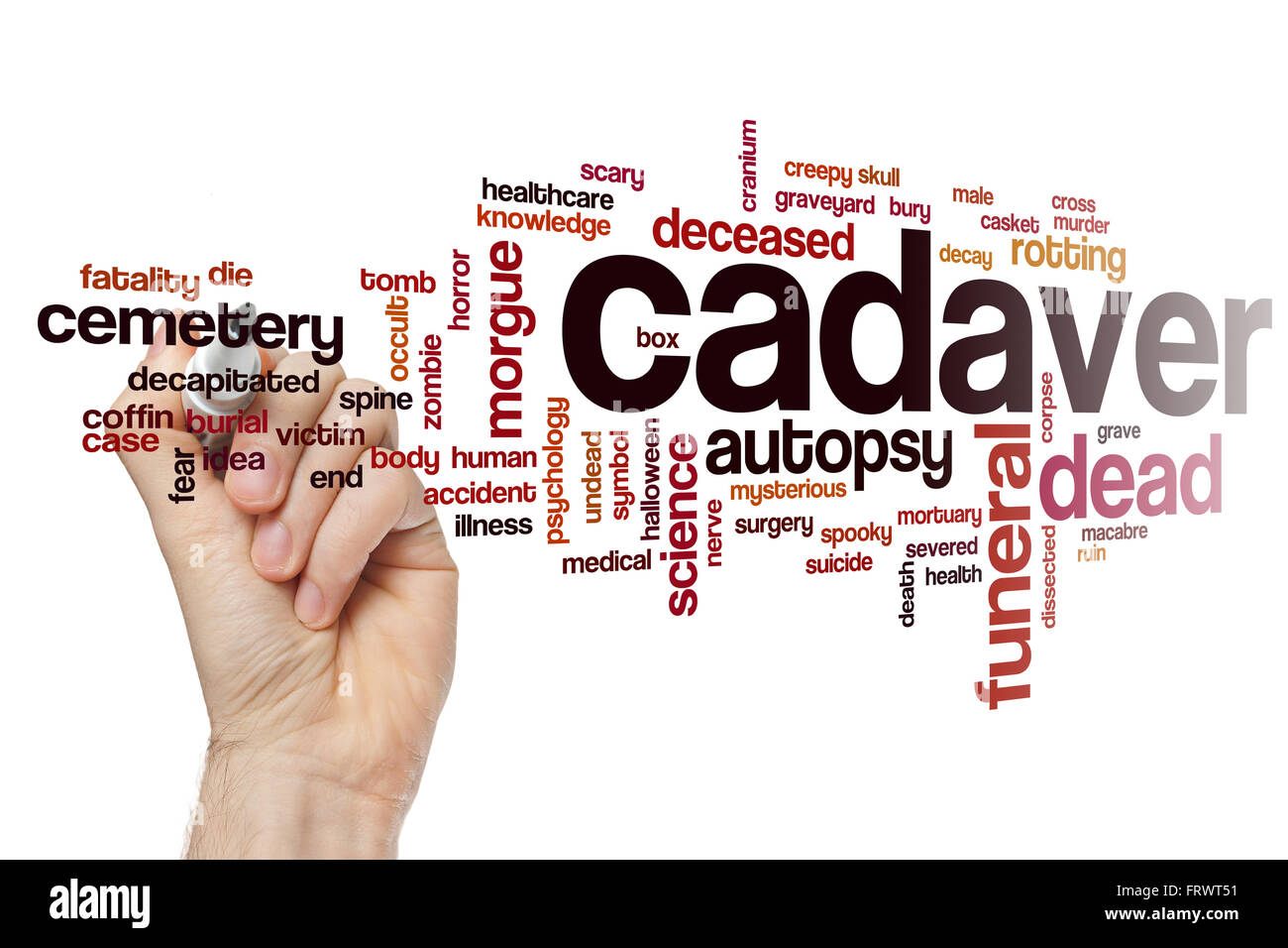 Human cadaver hi-res stock photography and images - Alamy