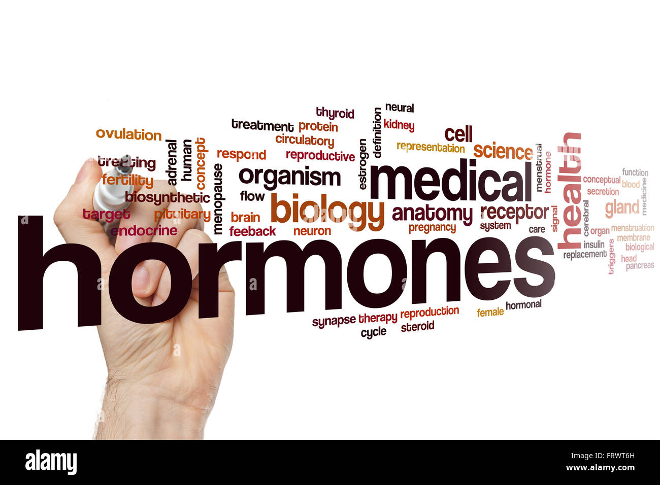 Endocrine system hormones function Cut Out Stock Images & Pictures - Alamy