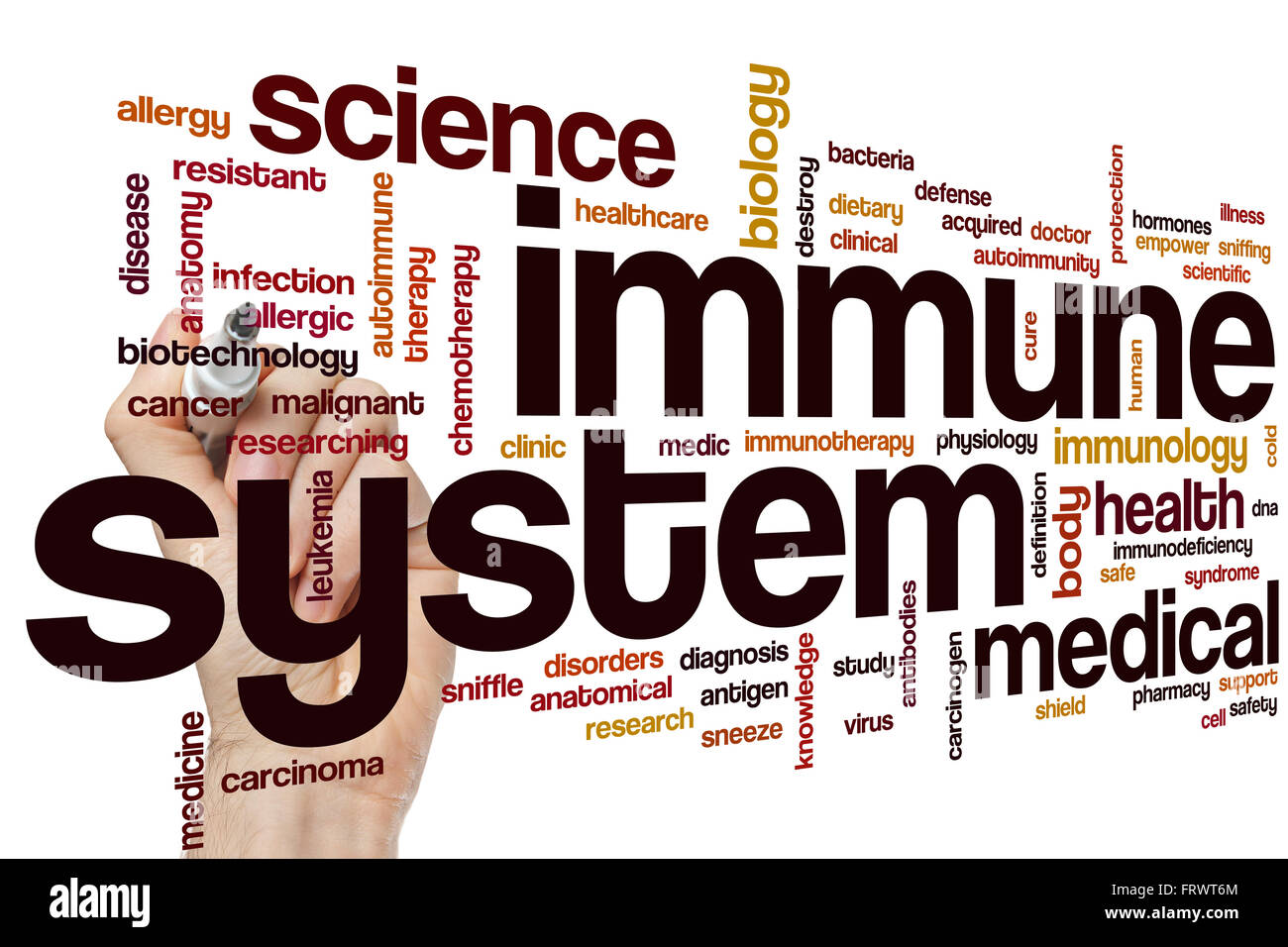 Immune system concept word cloud background Stock Photo - Alamy