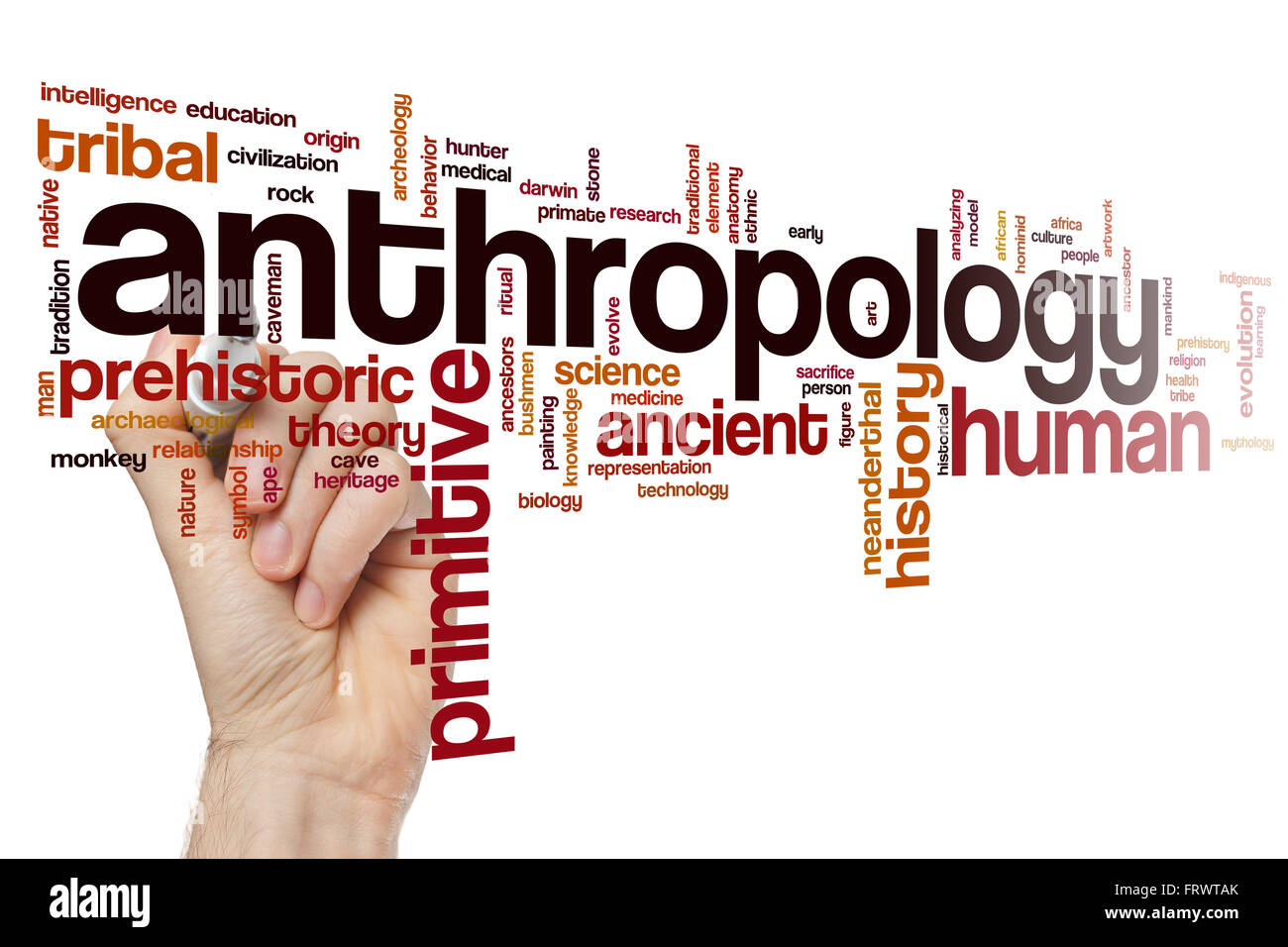 Anthropology concept word cloud background Stock Photo - Alamy
