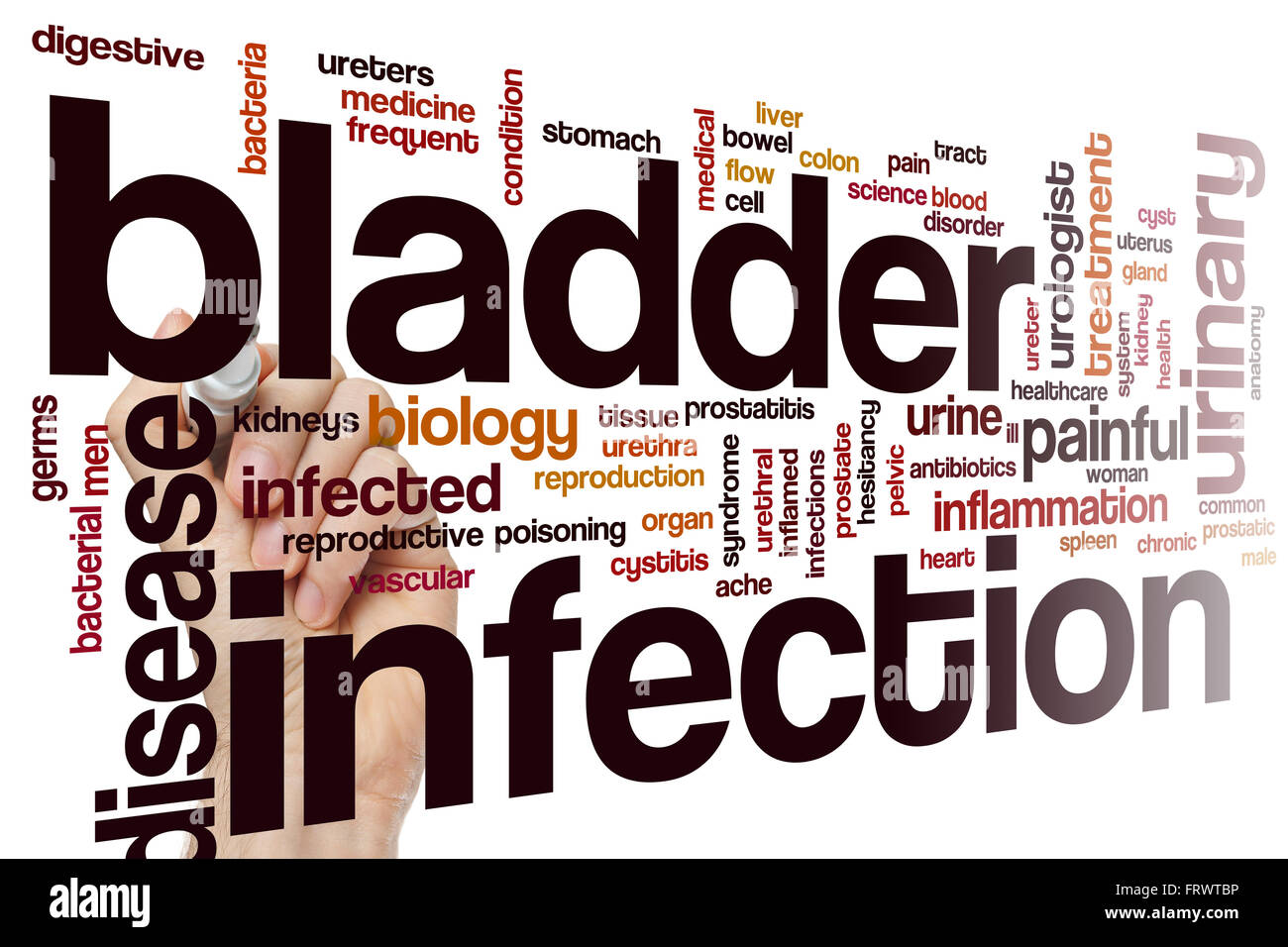 Bladder infection word cloud concept Stock Photo - Alamy