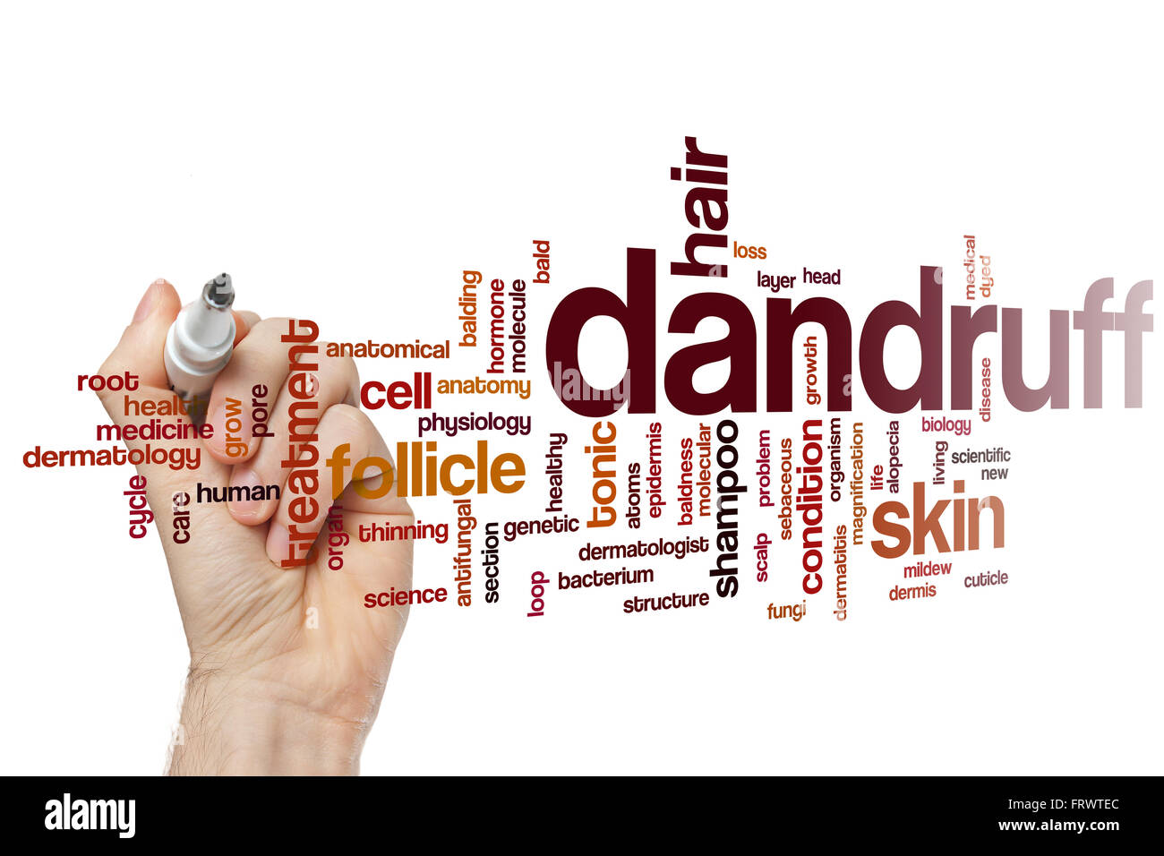 Dandruff follicle hi-res stock photography and images - Alamy