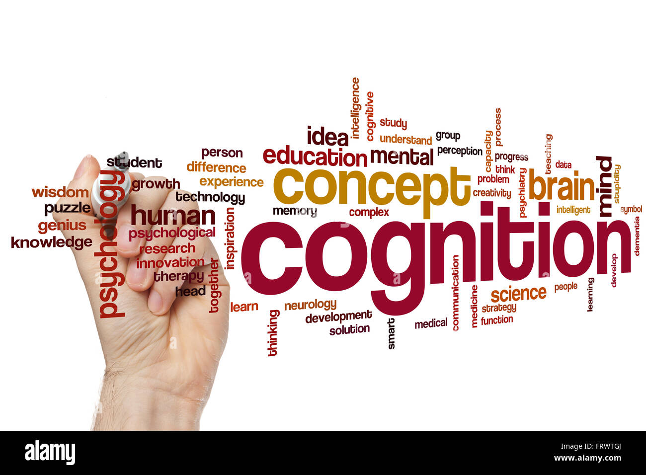 Memory brain word cloud hi-res stock photography and images - Alamy