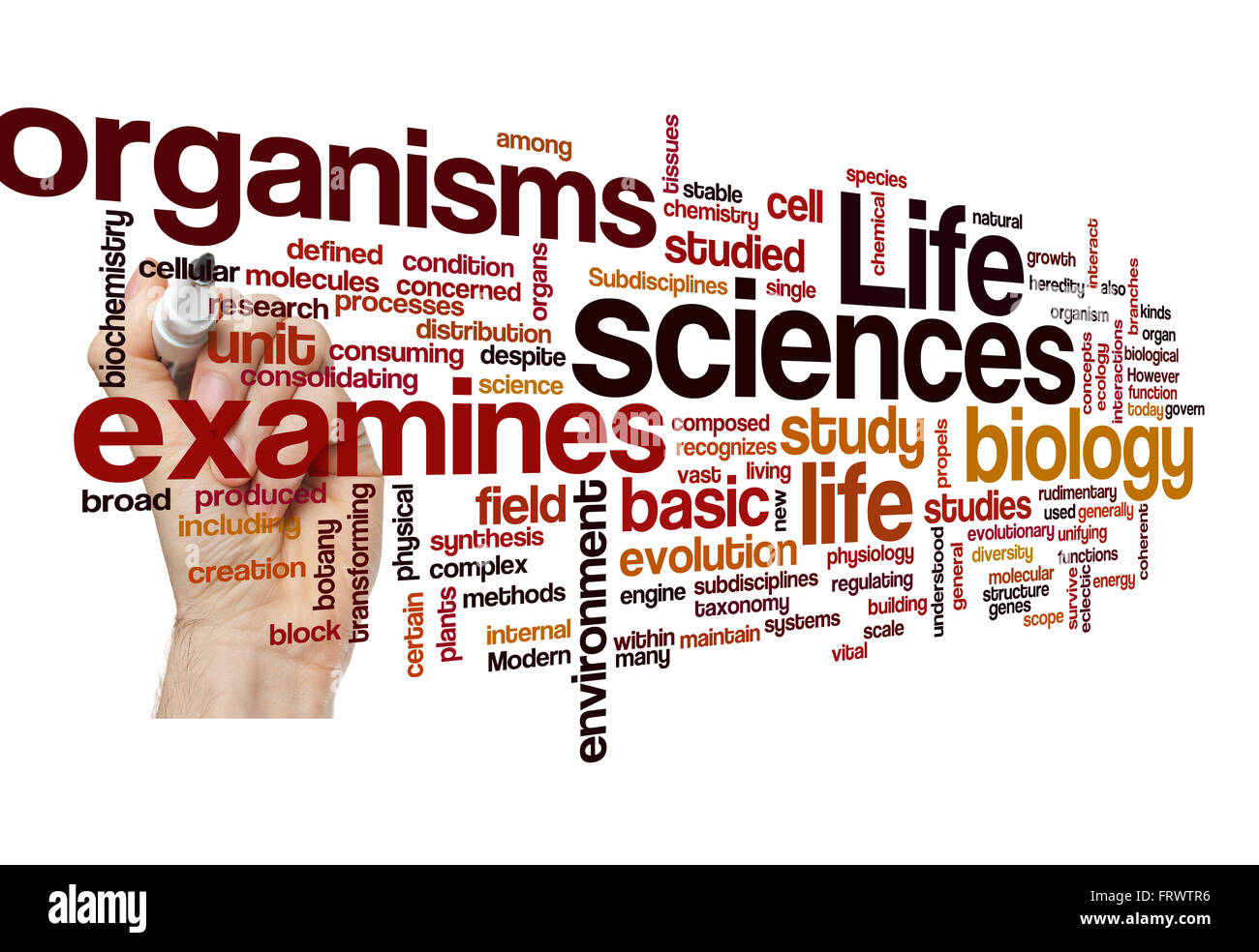 Life Science Word Cloud