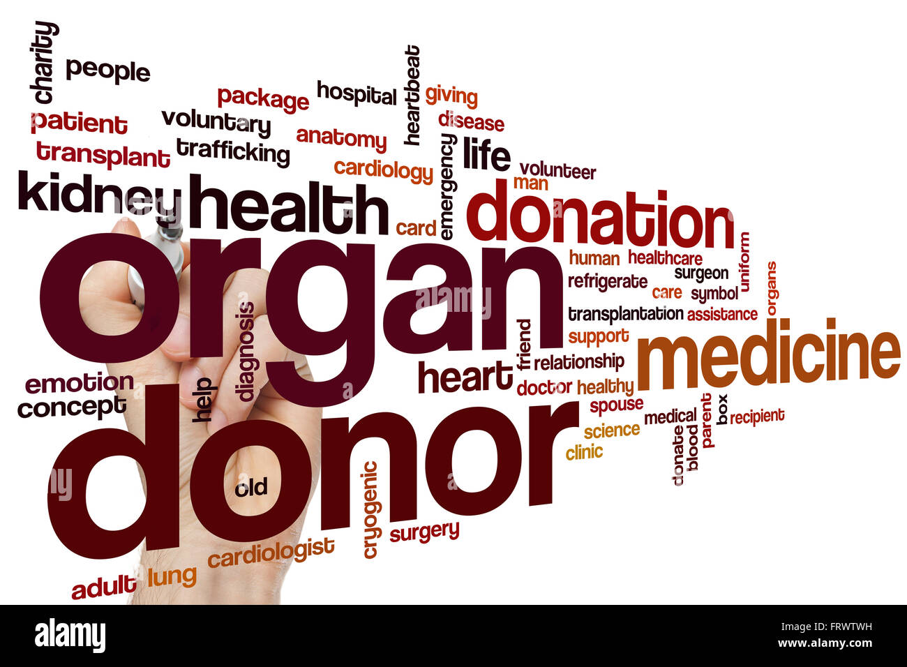 Transplant organ concept Cut Out Stock Images & Pictures - Alamy