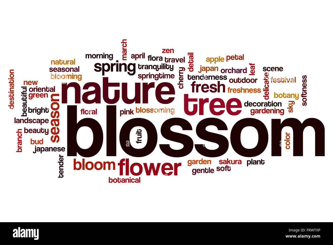 Cherry blossom detail Cut Out Stock Images & Pictures - Alamy