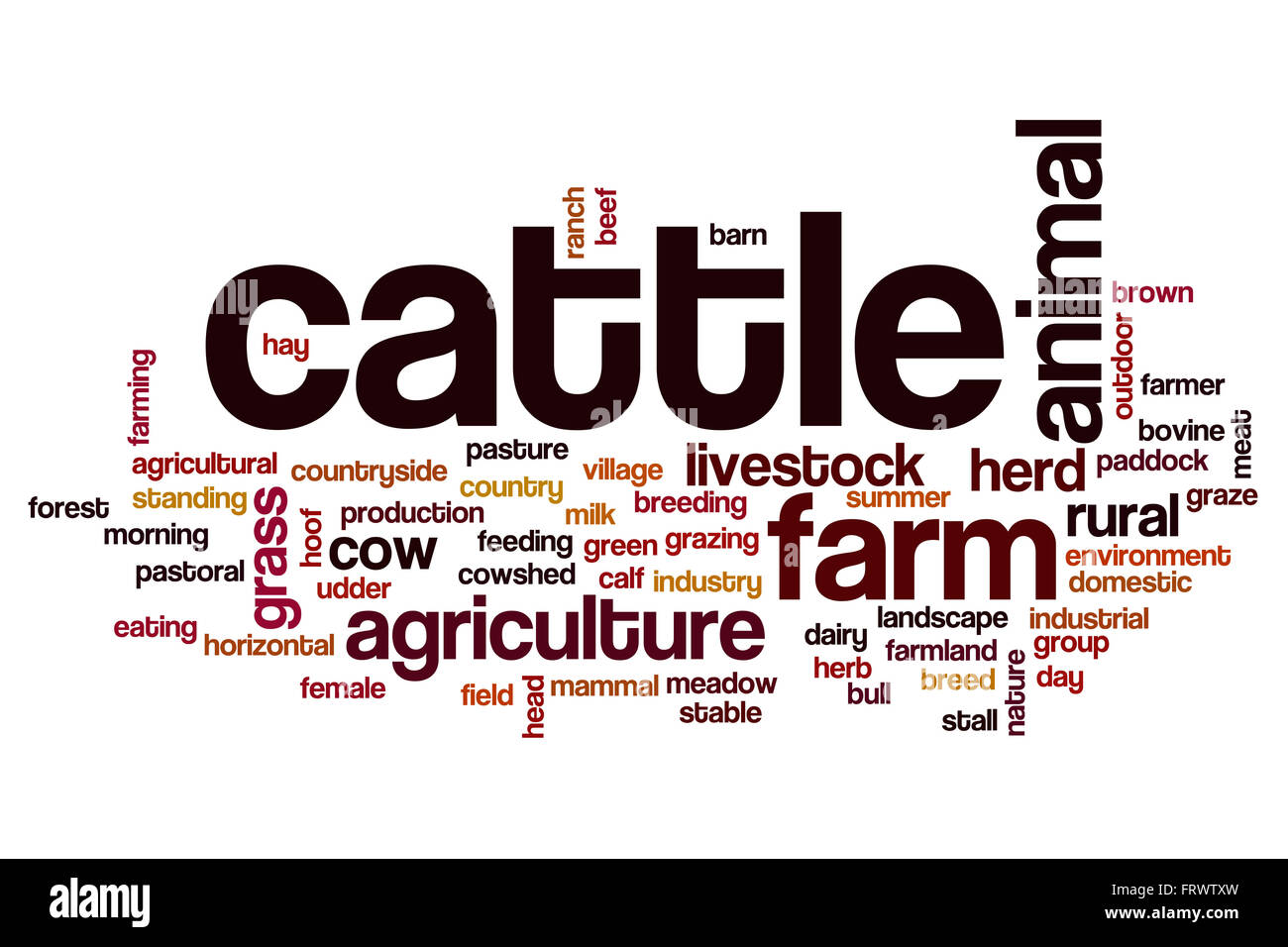 Cow eating grass Cut Out Stock Images & Pictures - Alamy