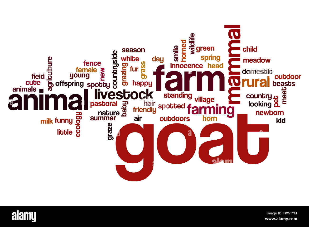 Goat word cloud Stock Photo - Alamy