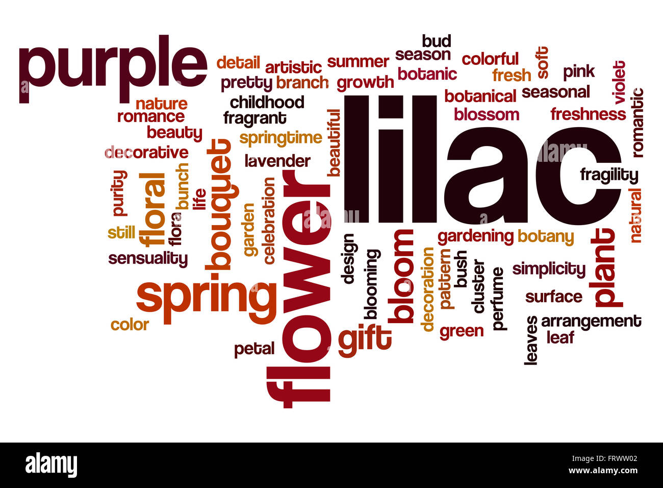 Lilac word cloud Stock Photo - Alamy