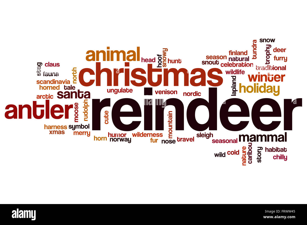 Reindeer word cloud hi-res stock photography and images - Alamy