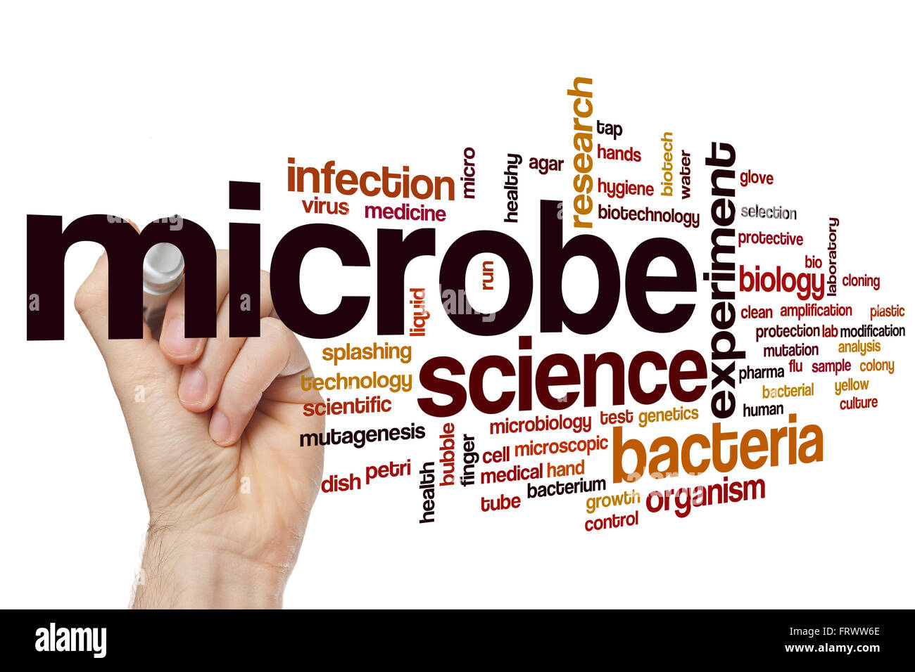 Microbe word cloud Stock Photo - Alamy