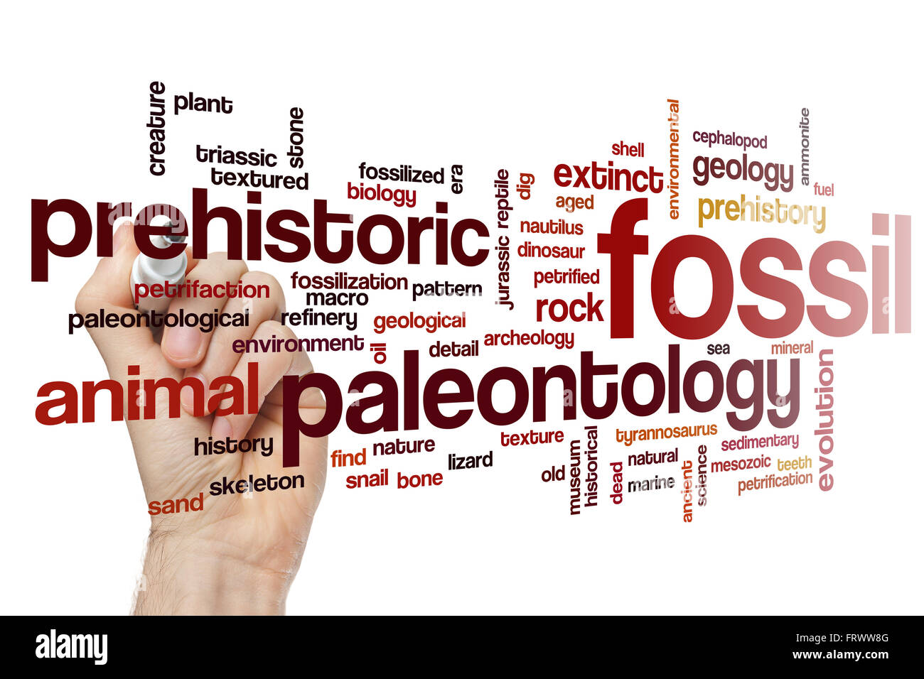 Fossil word cloud Stock Photo - Alamy