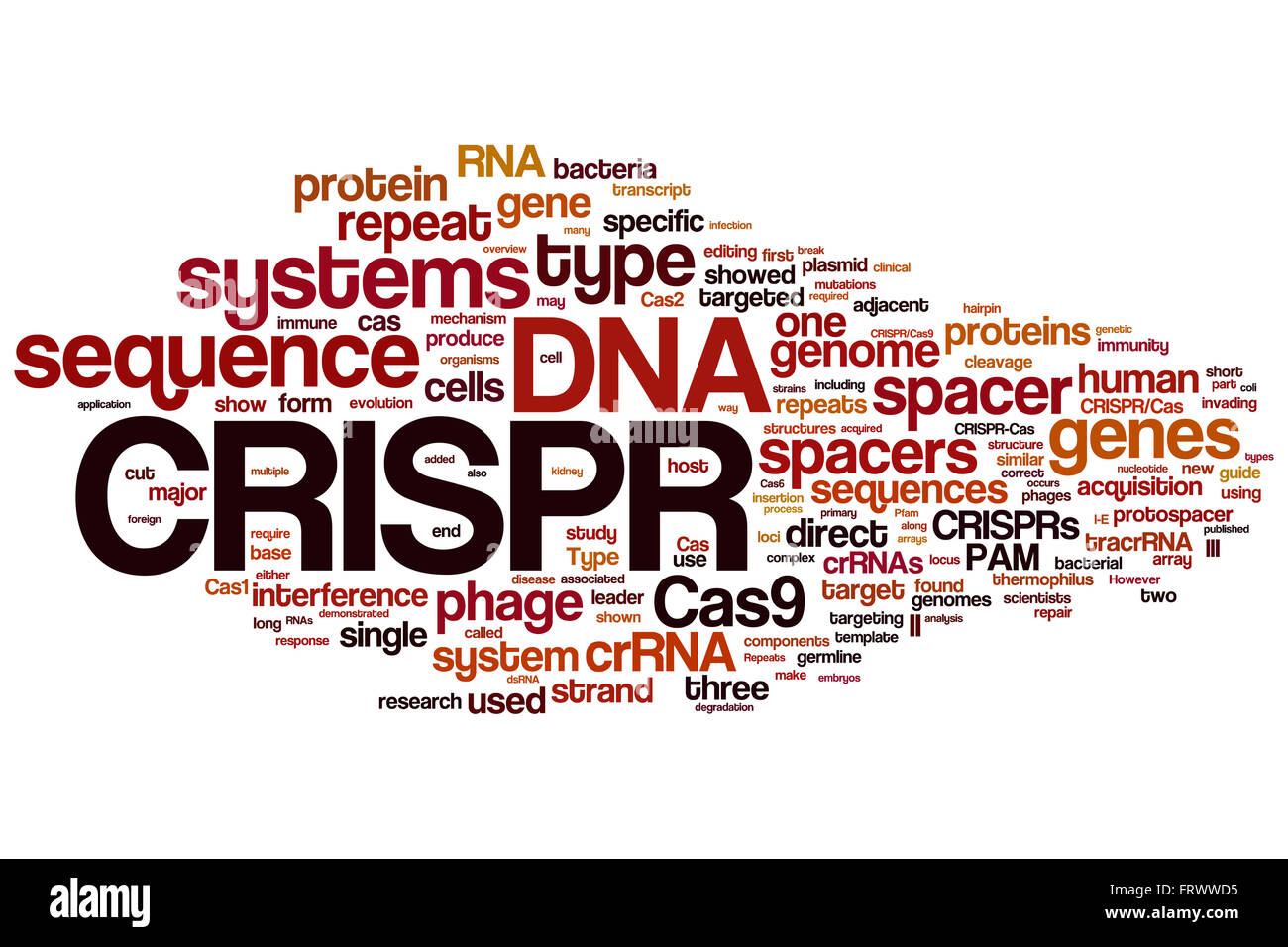 CRISPR/Cas9 system for editing, regulating and targeting genomes ...